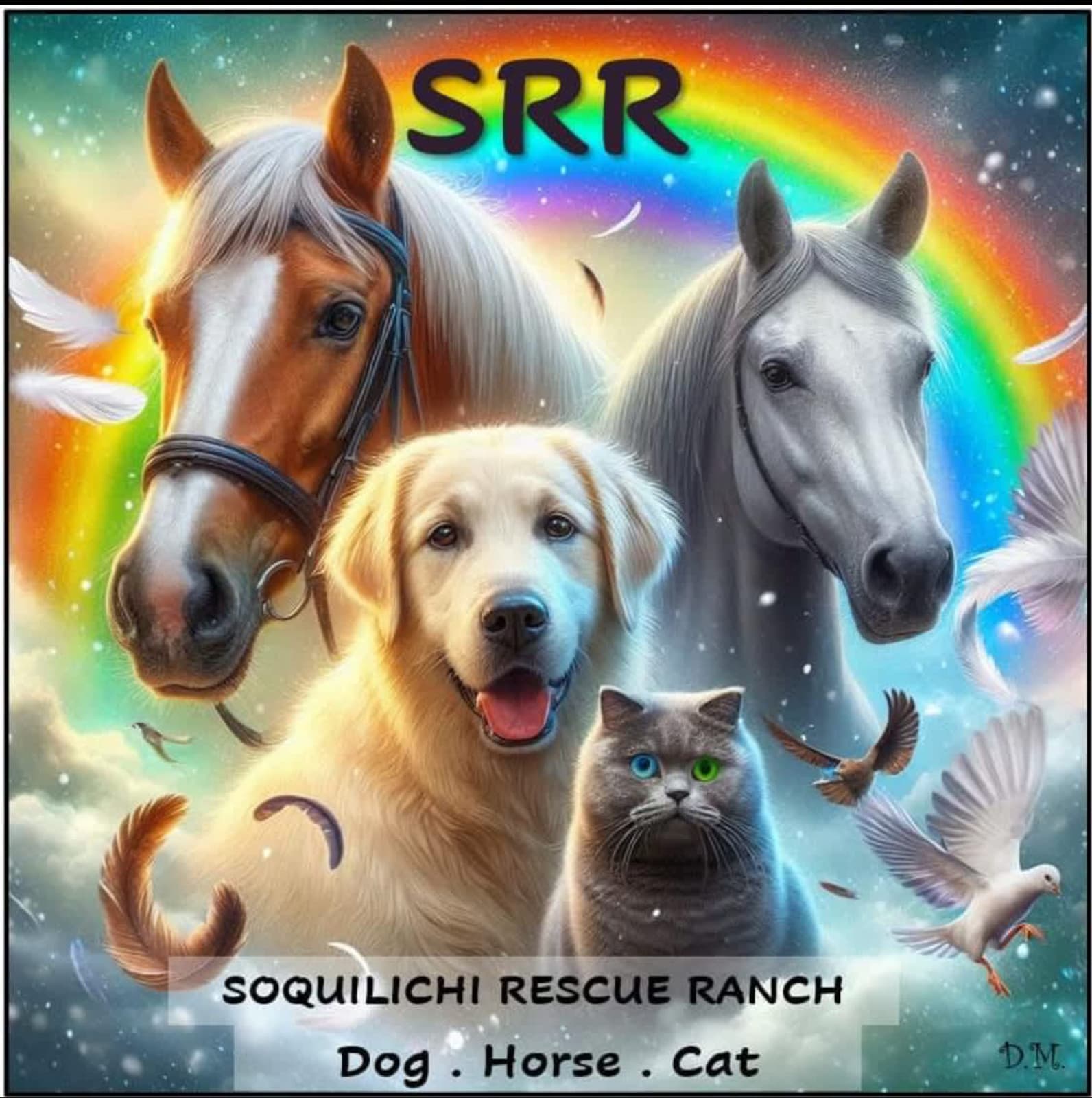 Delta - Soquilichi Rescue Ranch | Cats & Kittens | Gumtree Australia ...