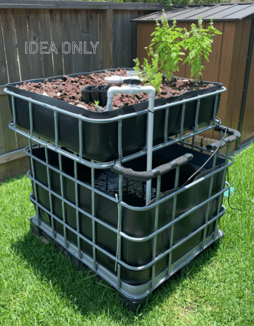 hydroponics aquaponics fish farming water tank 1000 litre ...