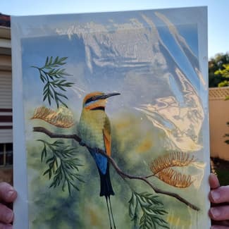 Katherine Castle AUSTRALIAN BIRD Artist Original - Art in Safety Bay WA ...