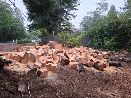 Free firewood - liftable pieces, easy access Stirling, Adelaide Hills ...